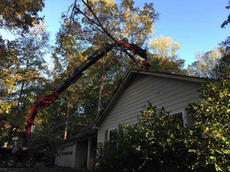 Emergency Tree Service & Crane Alpharetta GA | 770 Arborist